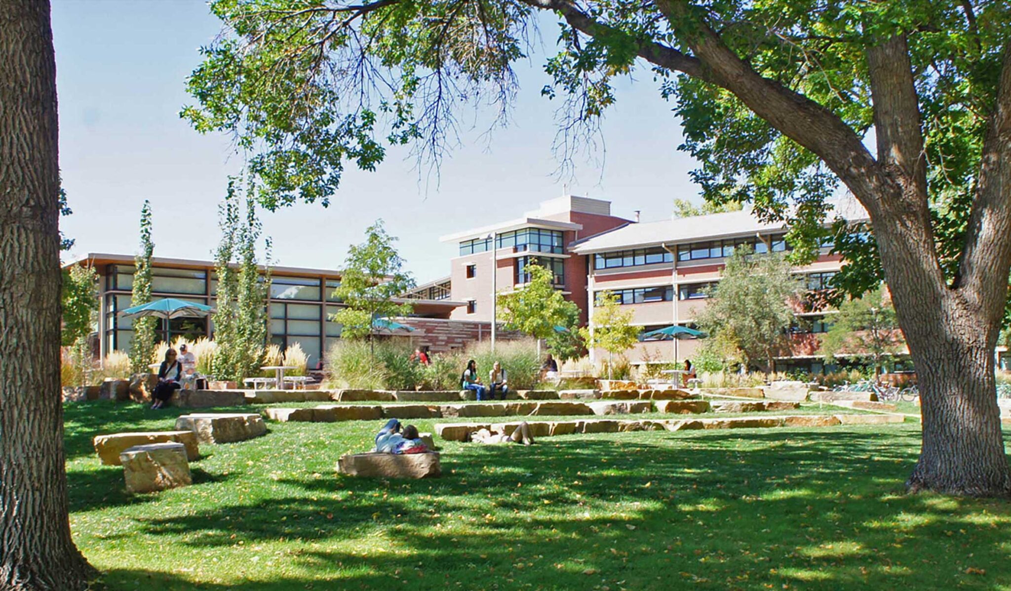 Work - Russell Mills Studios